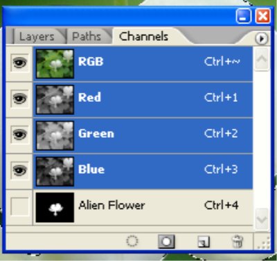 Alpha Channels: An Introduction | Photoshop Tips